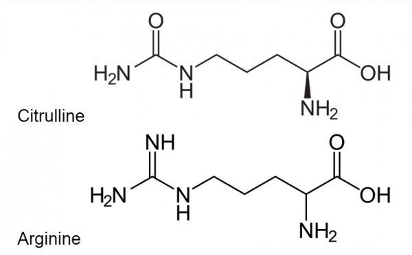 Arginine | SIELC Technologies