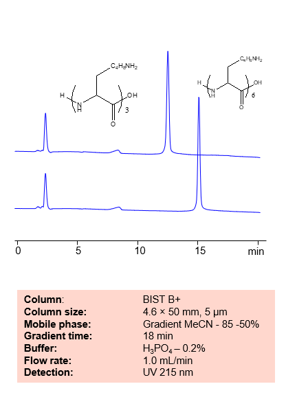 Lysine | SIELC Technologies