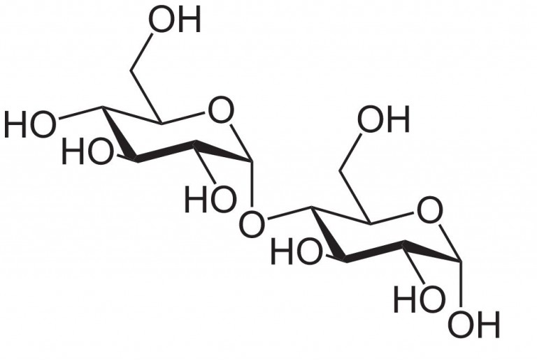 Maltose | SIELC Technologies