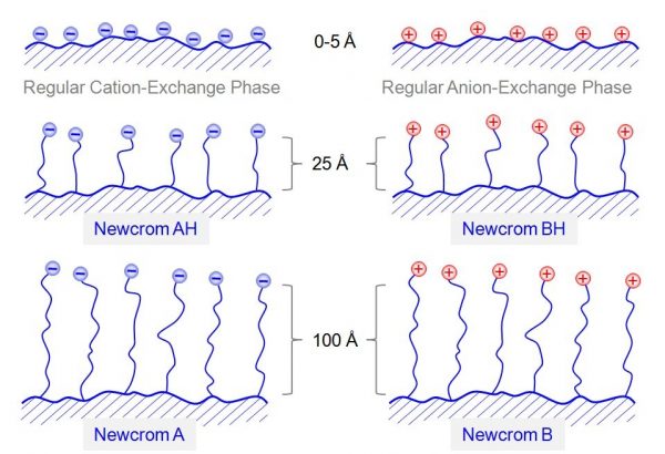 Newcrom-广州菲罗门科学仪器有限公司