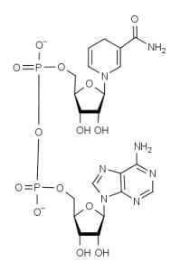 Nicotinamide Adenine Dinucleotide (reduced) (NADH) | SIELC Technologies