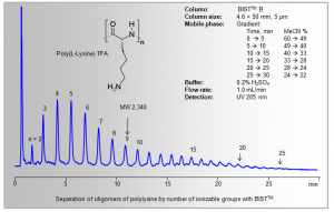 BIST™ Applications | SIELC Technologies