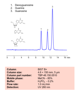 HPLC Method for Analysis of Deoxyguanosine, Guanine and Guanosine on BIST B+ | SIELC Technologies