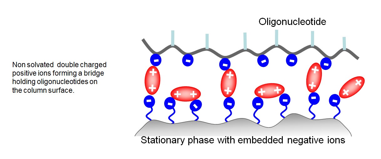 Oligonucleotides | SIELC Technologies