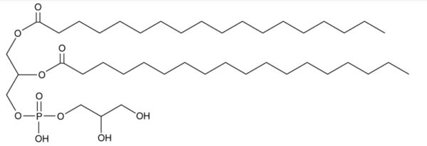 DSPG | SIELC Technologies